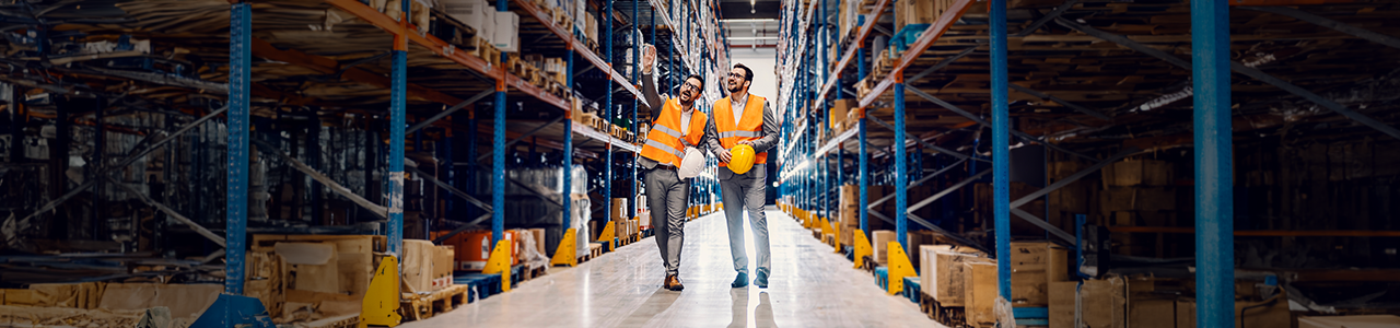 About Veo Worldwide Services